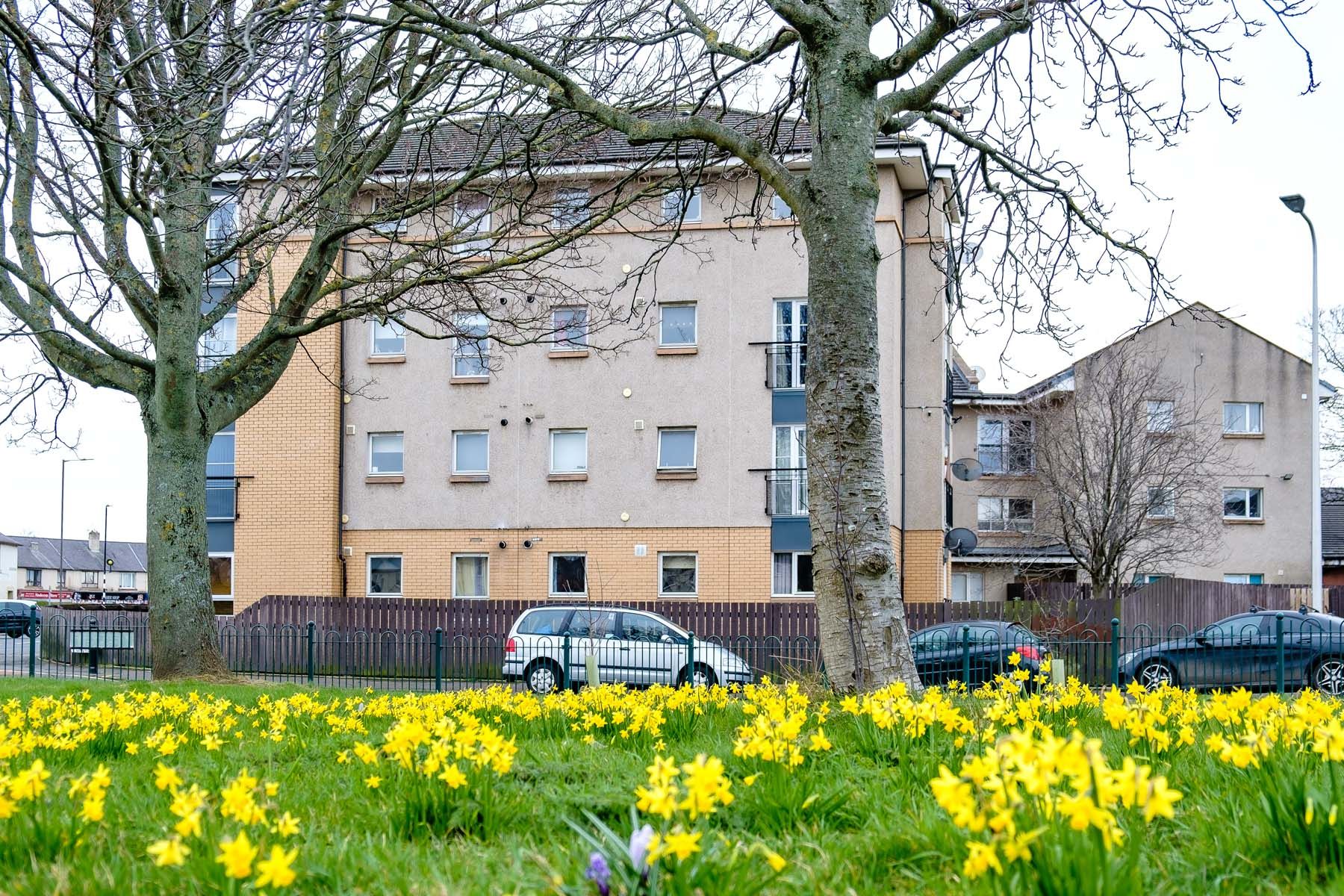 Homes To Let | Ark Housing